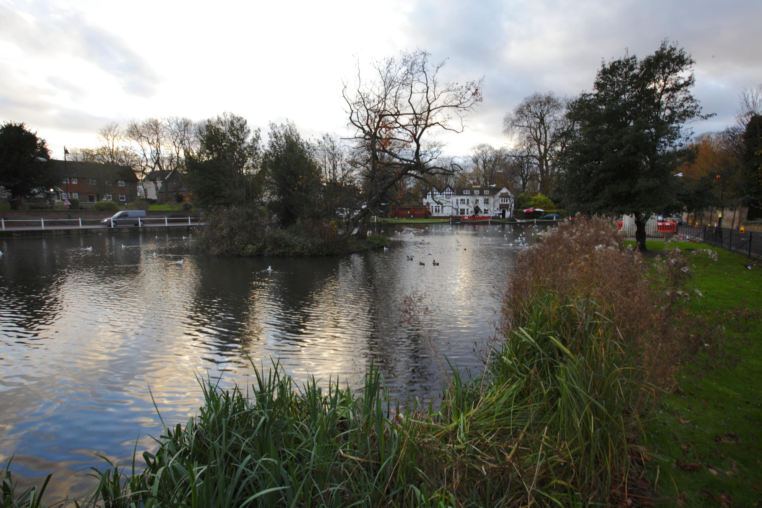 Living and working in Sutton | London Borough of Sutton